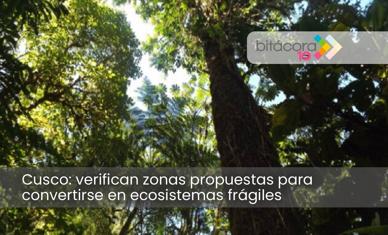 Cusco: verifican zonas propuestas para convertirse en ecosistemas ...