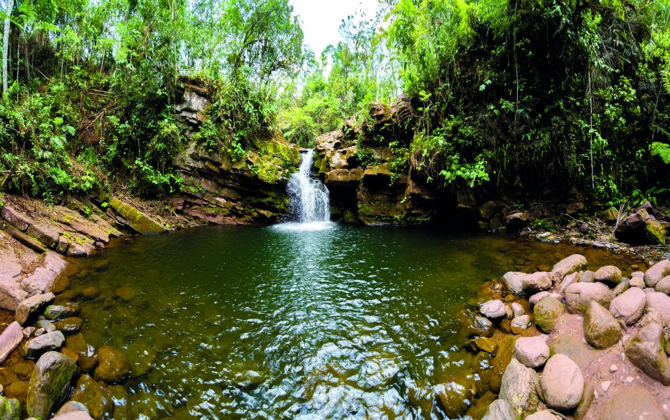 Fiestas patronales en Villa Rica - Bitácora Revista