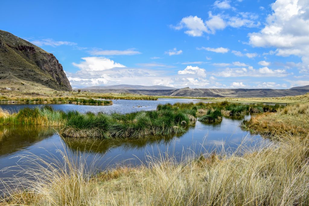 Nuevos rumbos: “Canipaco, tierra de los chunkus” - Bitácora Revista