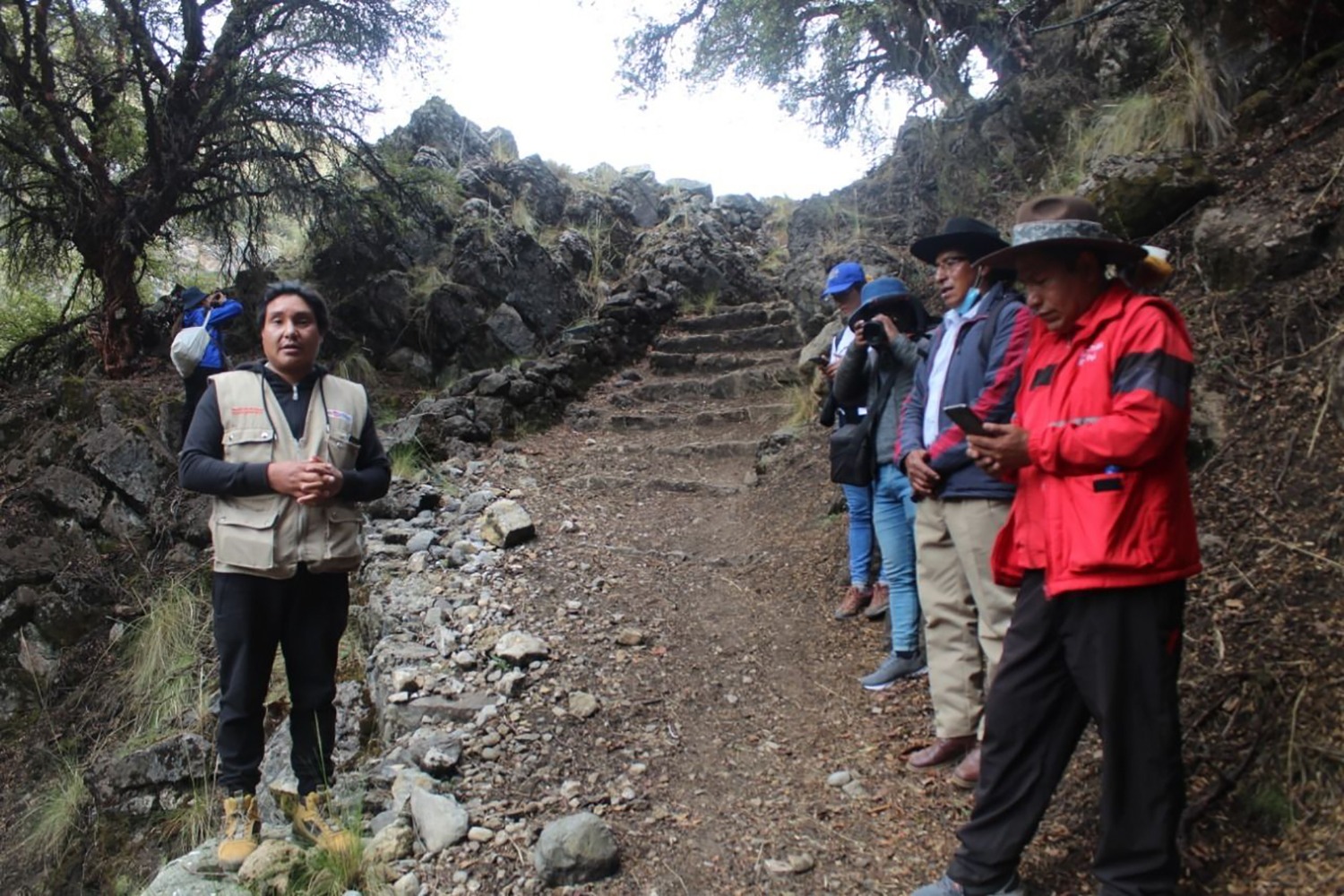 Declaran de interés regional conservación del Bosque Relicto Altoandino ...