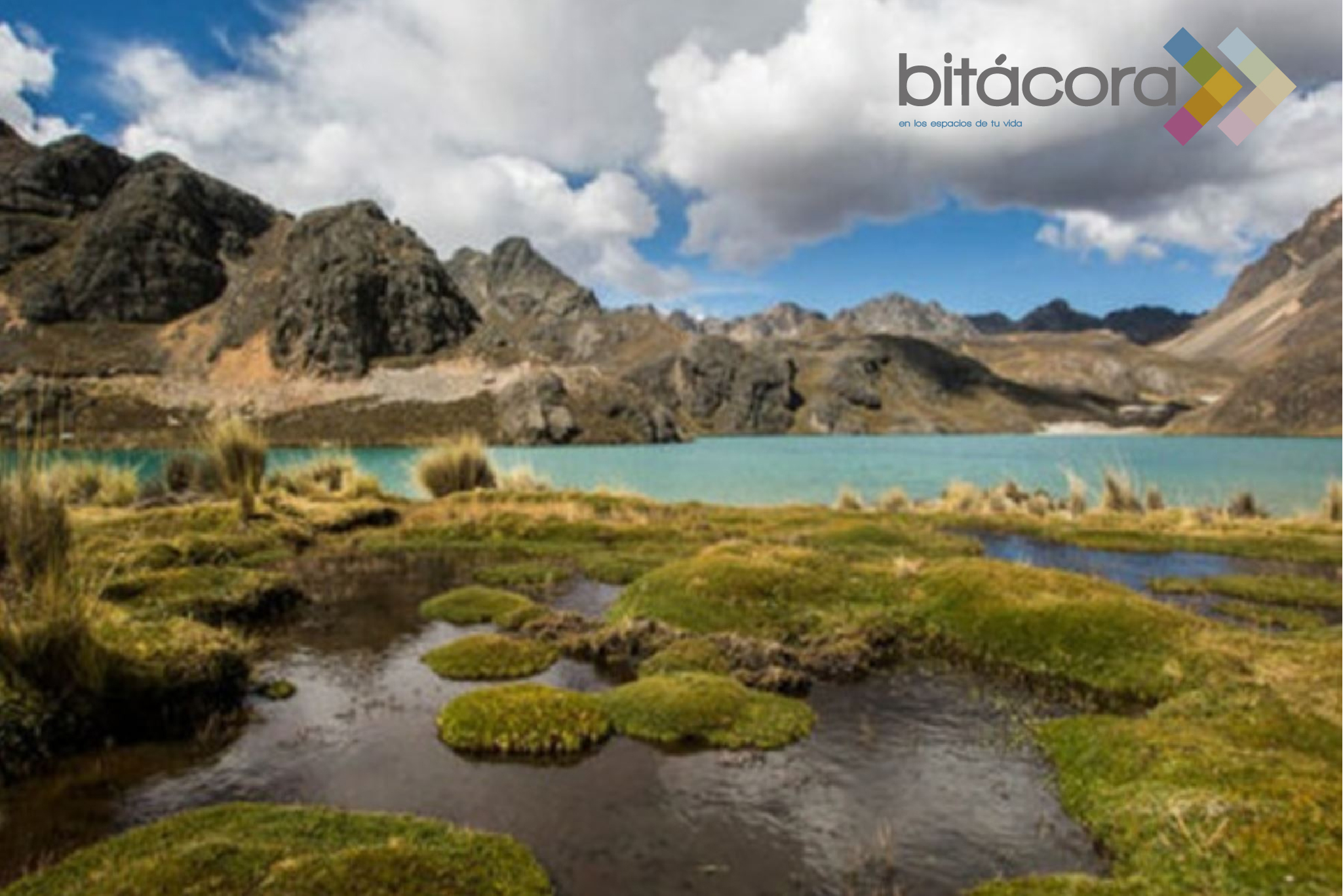 Puna resiliente: conoce el proyecto que busca proteger ecosistemas de ...