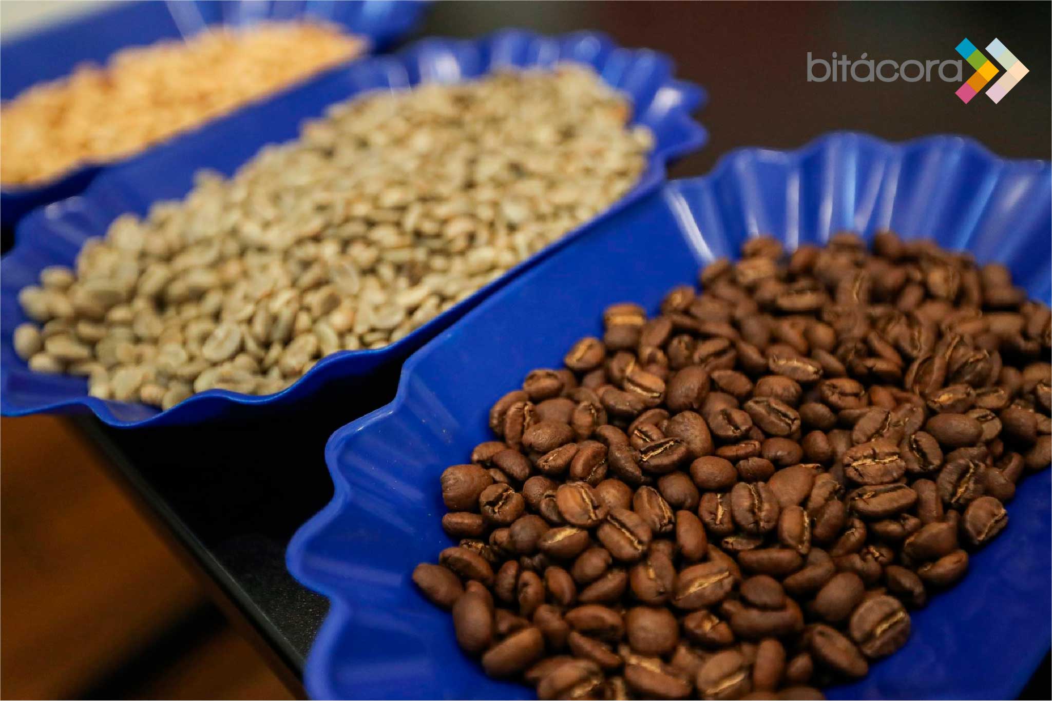 Café peruano camino a mejorar sus rendimientos generando más beneficios ...