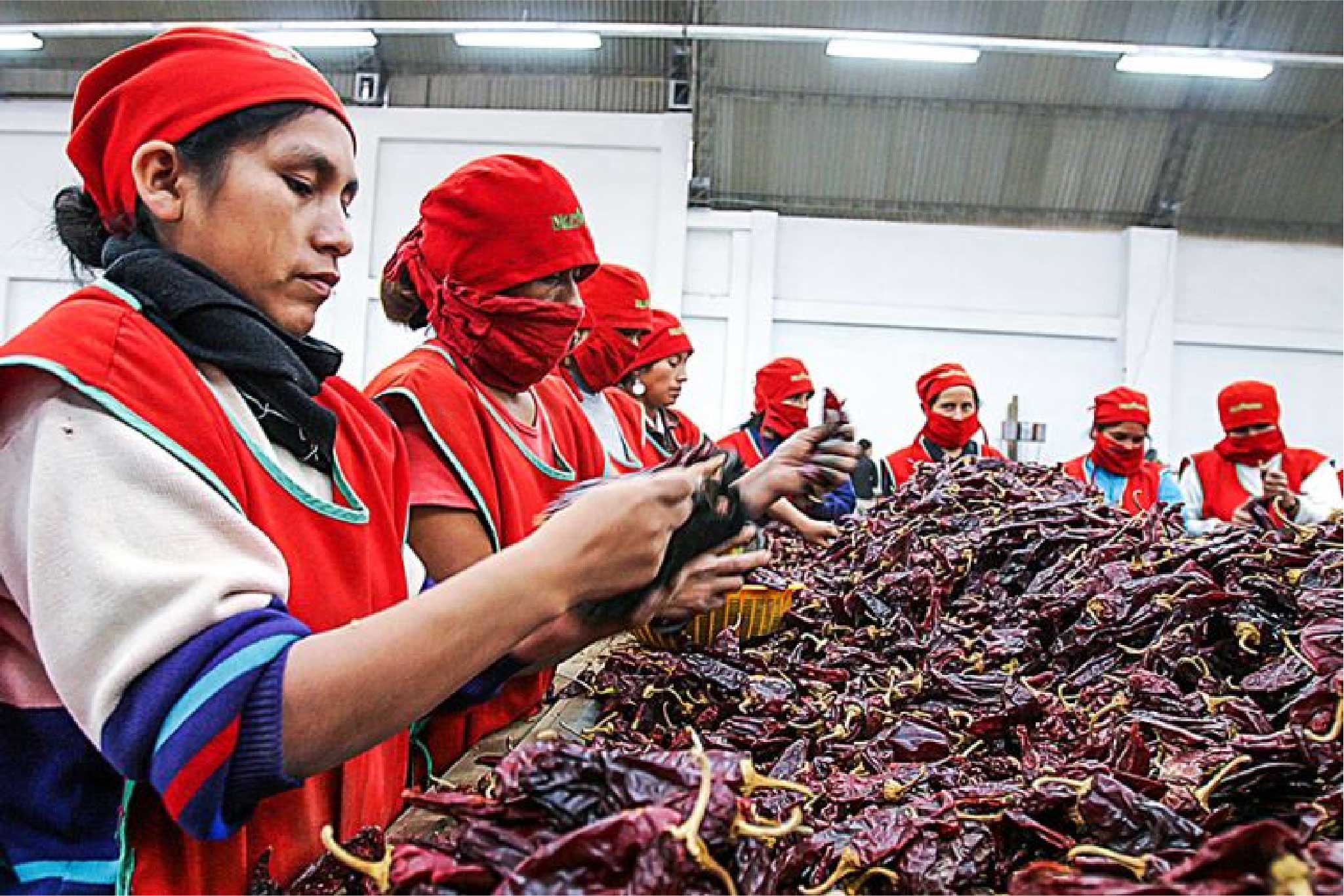 La economía peruana crece un 1.37% en enero de 2024 impulsada por ...