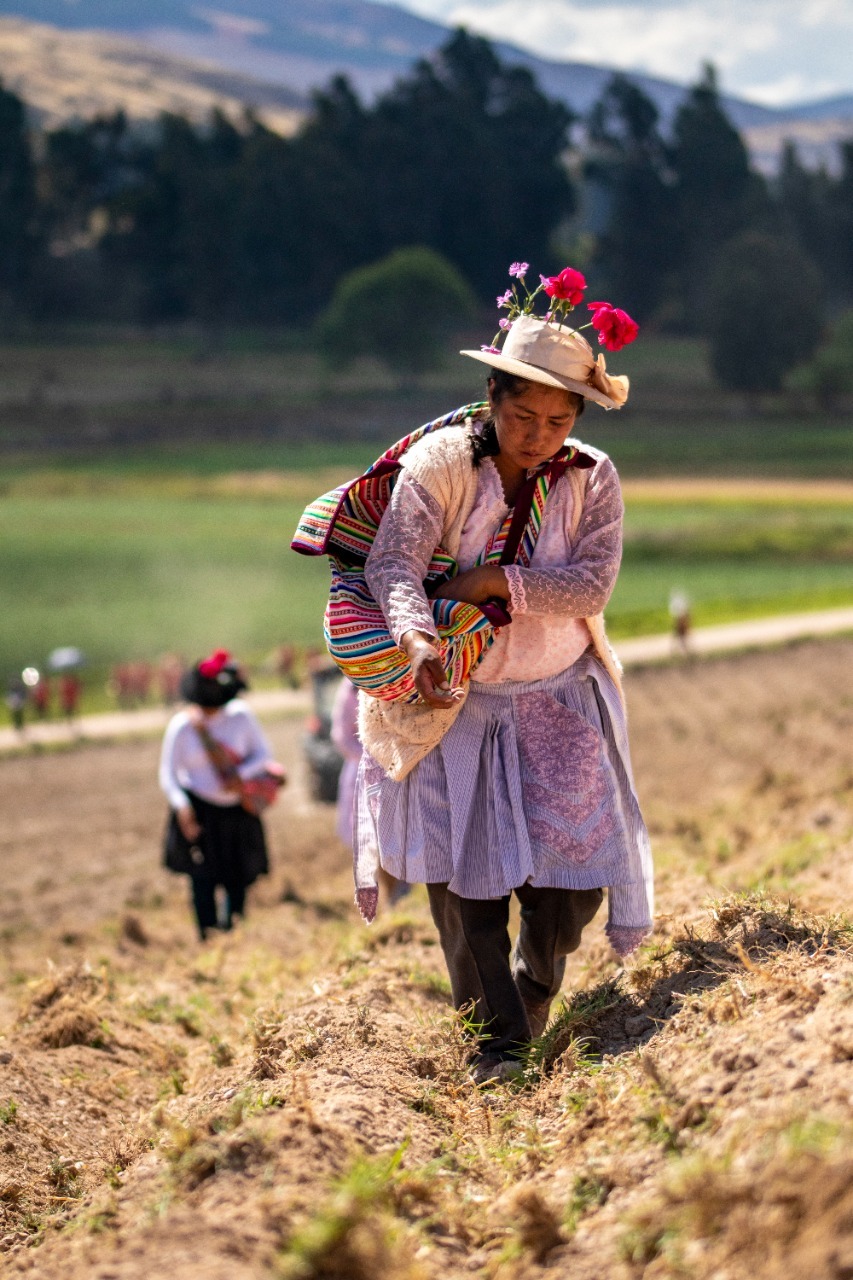 La fiesta de la “Rayada” - Bitácora Revista